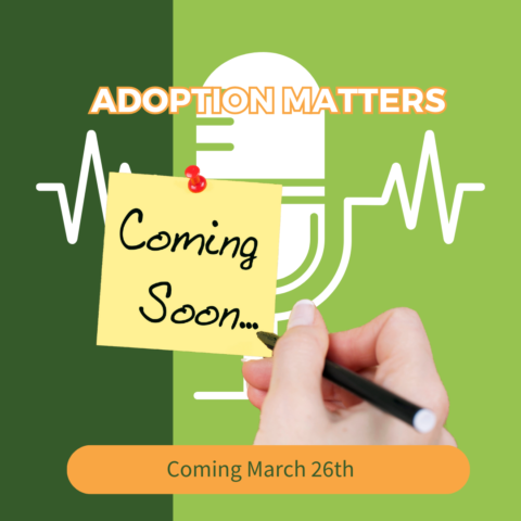 Podcast – Growing Intentional Families Together, LLC